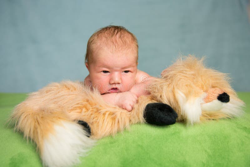 Newborn baby boy stock photo. Image of caucasian, blue - 83841682