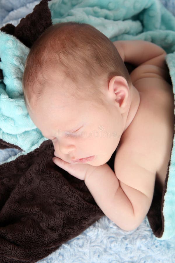 Wrapped Baby stock photo. Image of arms, blue, newborn - 4128410