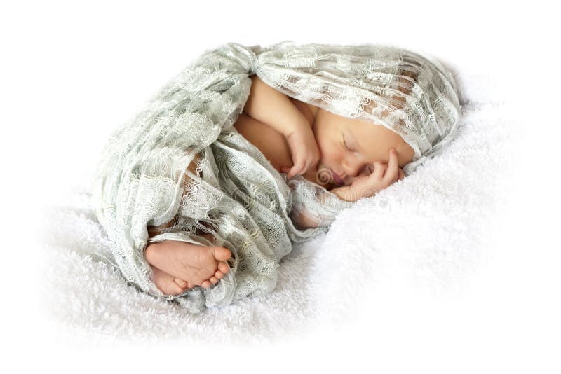 Baby in cocoon stock photo. Image of small, tiny, pose - 10168346