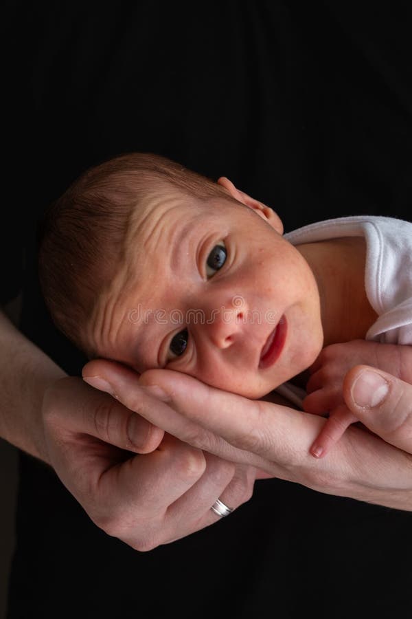 Newborn Baby Cradled in Hand Stock Image - Image of hand, holding ...
