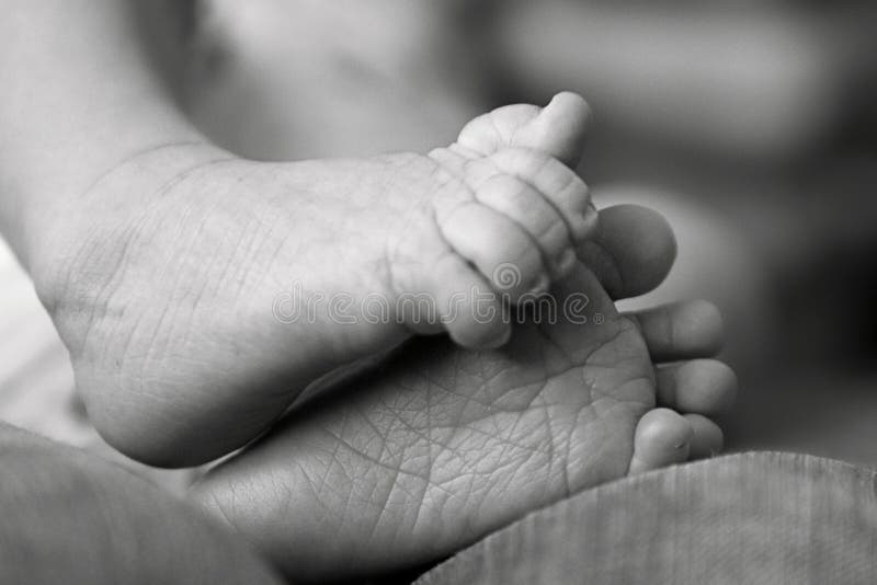 Mother Holds Baby Feet in Hands Stock Image - Image of embrace, feet ...