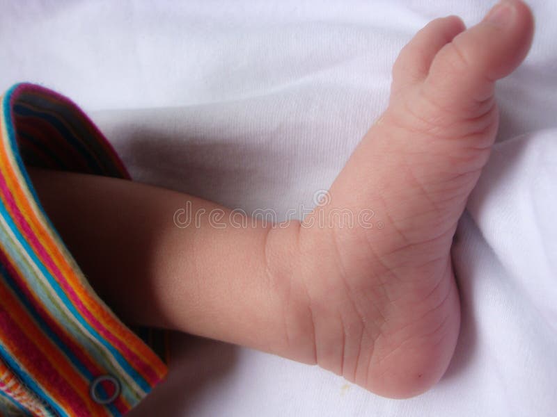 Feet stock photo. Image of baby, human, childhood, feet - 179039524