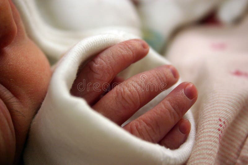 Newborn baby fingers stock photo. Image of hand, newborn - 3957784
