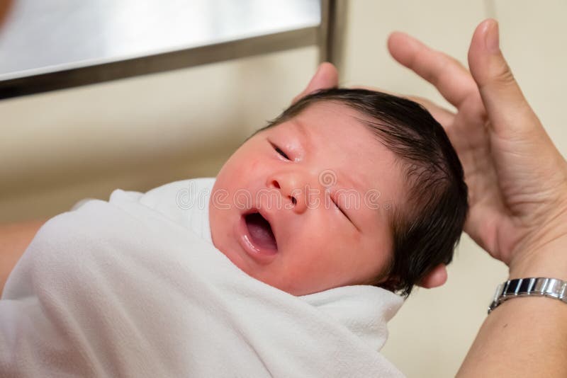 Newborn baby stock image. Image of people, blanket, boys - 40015601