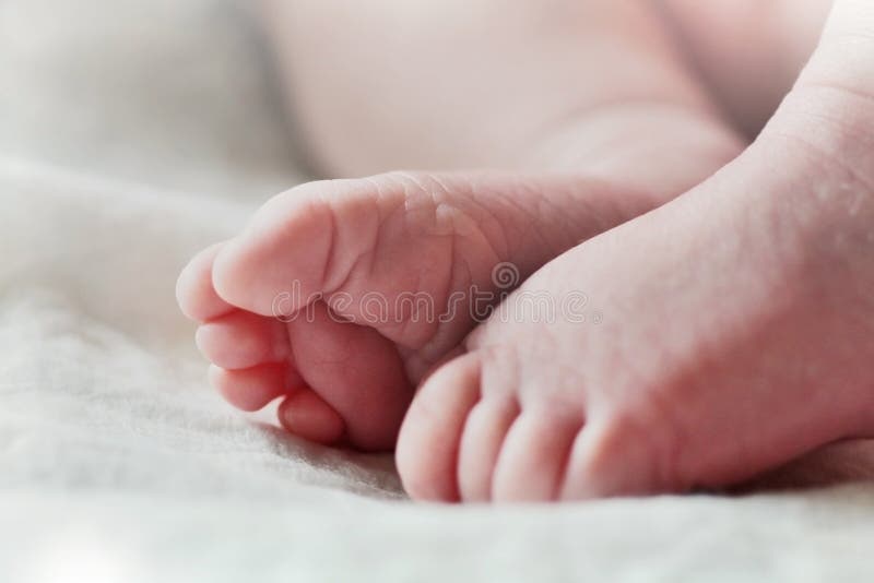 Newborn baby feet stock photo. Image of closeup, adorable - 39805472