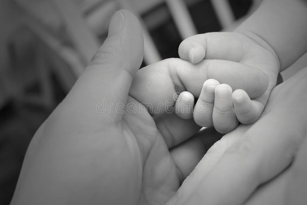 Newborn Baby Grasp stock photo. Image of love, white - 16607130