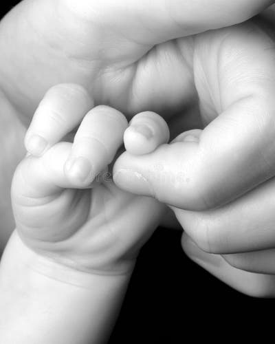 Newborn Baby Grasp stock photo. Image of father, child - 406336