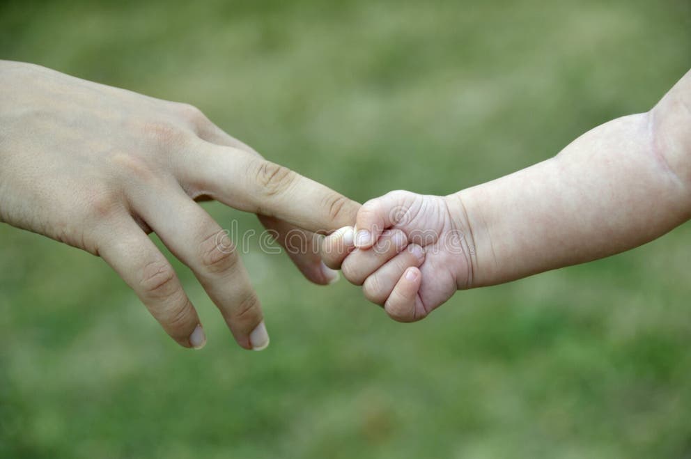 Newborn baby grasp stock photo. Image of hand, love, parenthood - 6355118