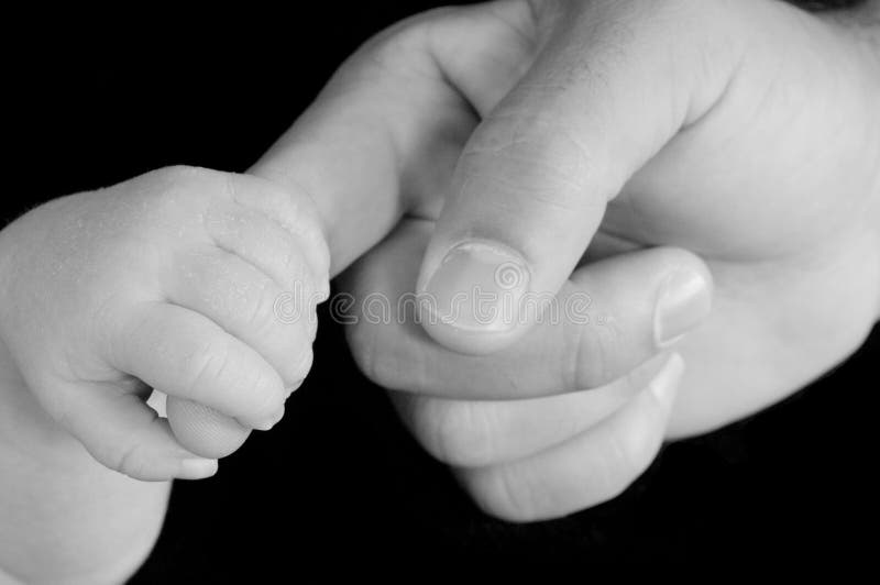 Baby holding hand stock image. Image of baby, mother - 14683729
