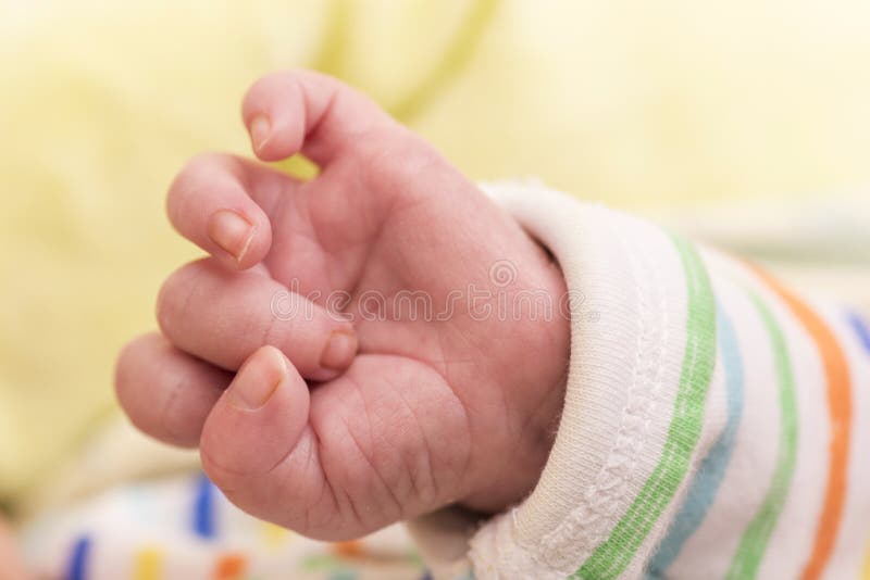 Newborn Baby Hand. Hands of the Child. Hand of the Baby Stock Photo ...