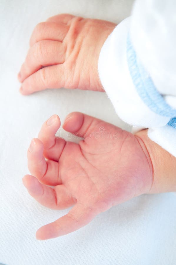 Newborn baby hands stock photo. Image of close, baby - 21710656