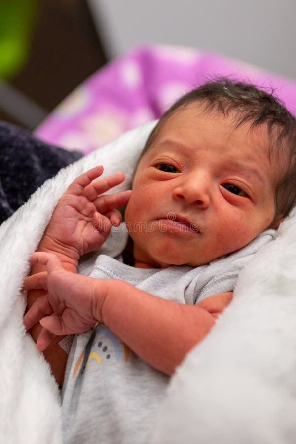 Newborn Baby in Its First Hours of Life. Stock Image - Image of health ...