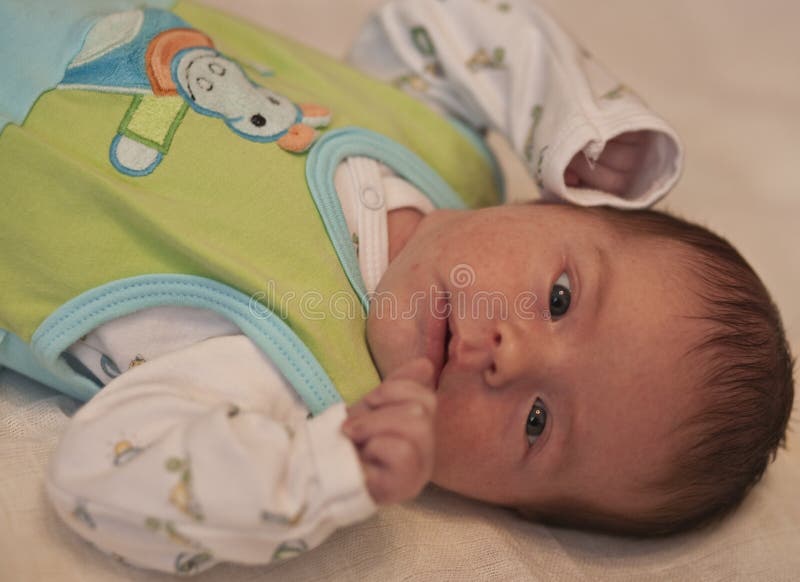 Newborn Baby Resting Picture. Image: 7770698