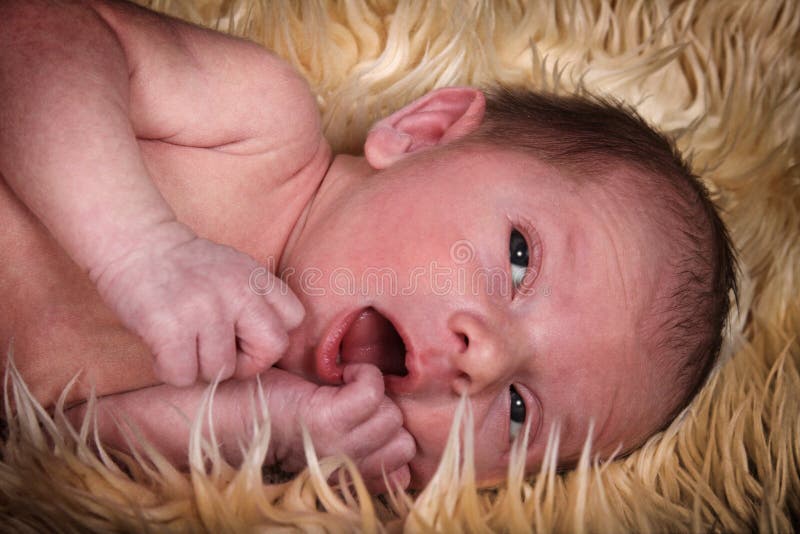 Newborn baby on rug stock image. Image of safety, fingers - 24097969