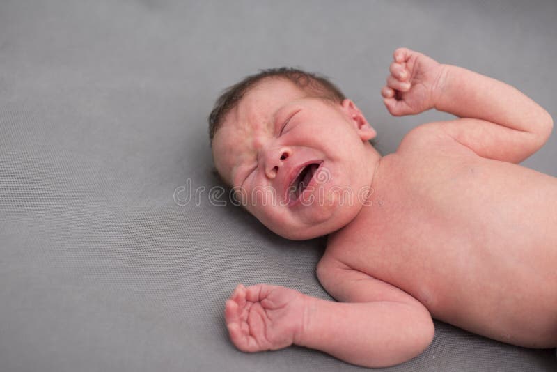 Screaming newborn baby stock photo. Image of happiness - 36100028