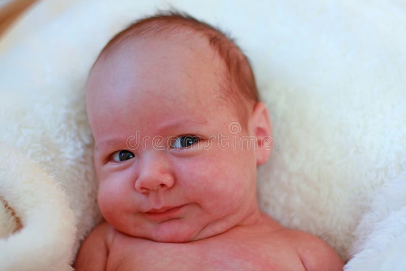 Newborn baby smirking stock image. Image of basket, shirtless - 12241227