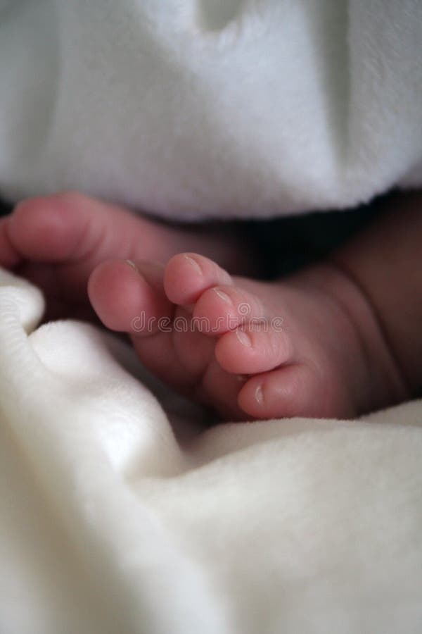 Newborn Baby Toes stock image. Image of baby, infant - 66382495