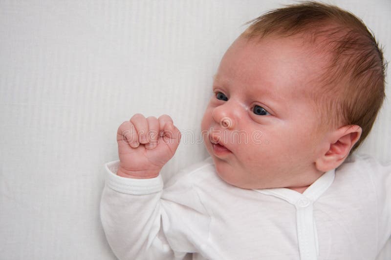 Cute one week old baby boy stock photo. Image of childhood - 19048358