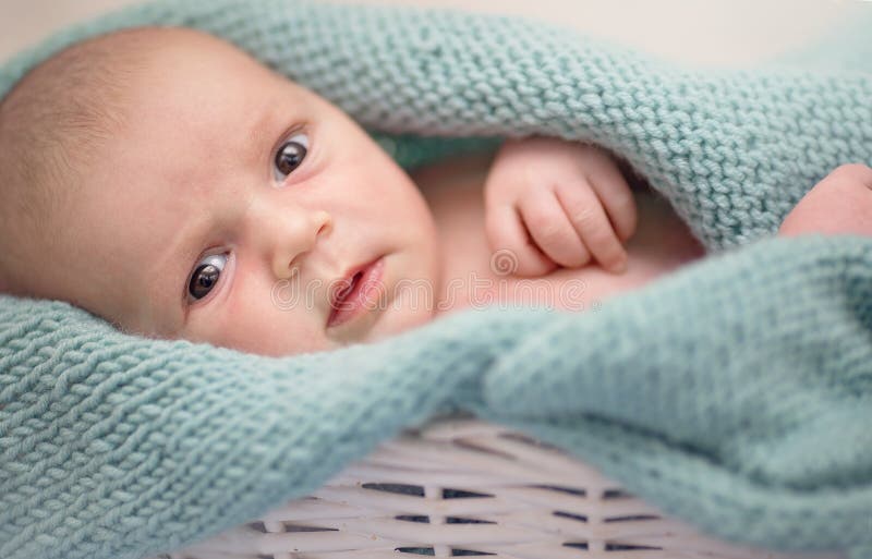 Newborn stock photo. Image of adorable, concept, looking - 66925060