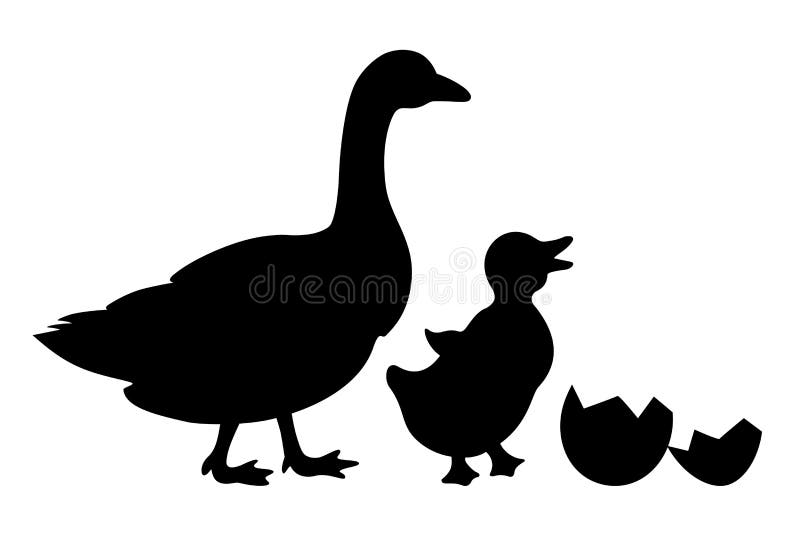 Duckling Silhouette