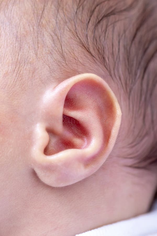 Newborn ear close up stock photo. Image of innocence - 145138828