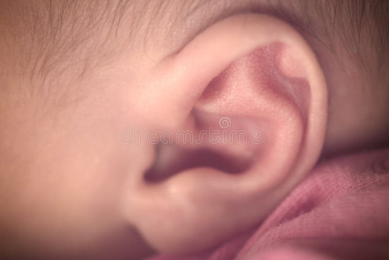 Newborn ear stock photo. Image of cute, baby, beautiful - 79097736