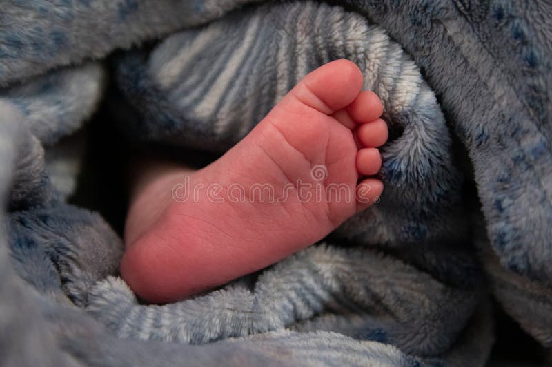 Newborn Foot, Detail of Newborn Leg Stock Image - Image of body, infant ...