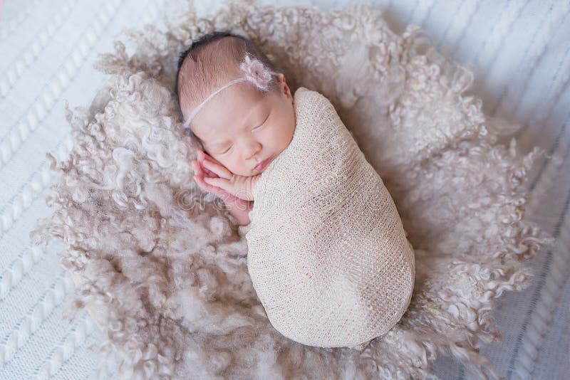 The Newborn Girl in a Cocoon Sleeping Stock Image - Image of happy ...