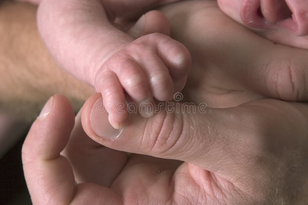 Newborn Grasp stock image. Image of love, tenderness, baby - 224233