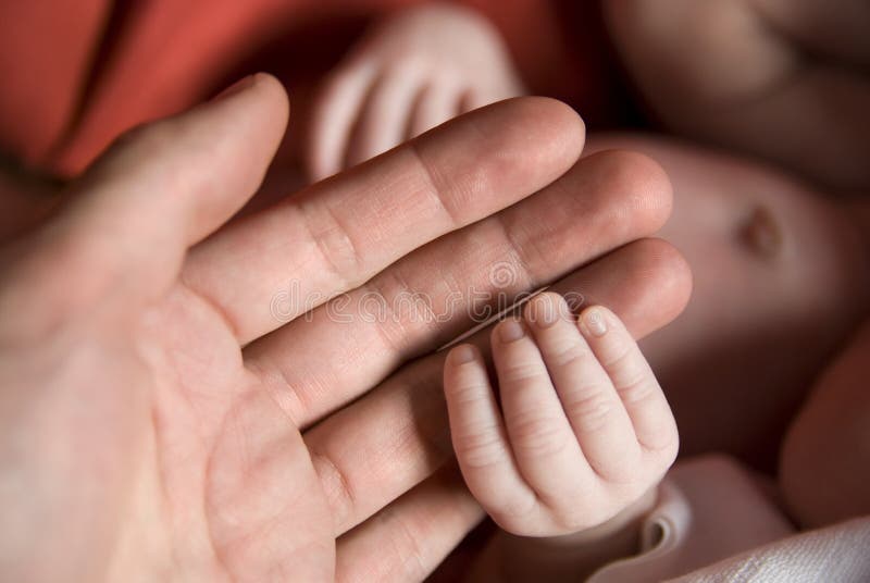 Newborn Hand Picture. Image: 13612342