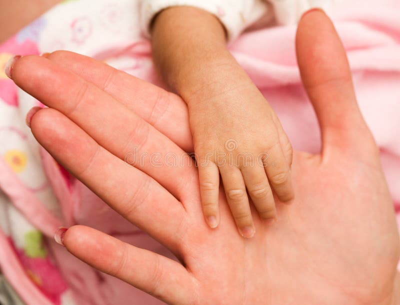 Newborn hand stock image. Image of skin, hand, limb, large - 2853597