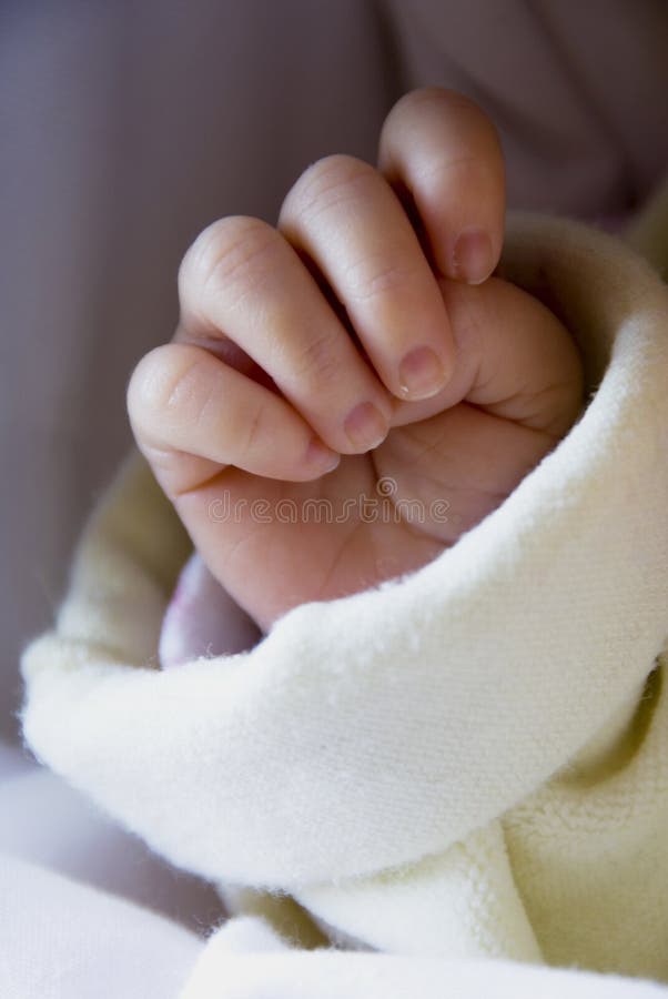 Newborn hand stock photo. Image of cover, life, dreaming - 8628144
