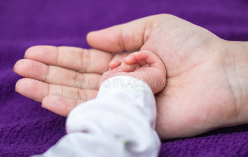 Newborn Hand Laying at Mother Hand from Flat Angle Stock Photo - Image ...