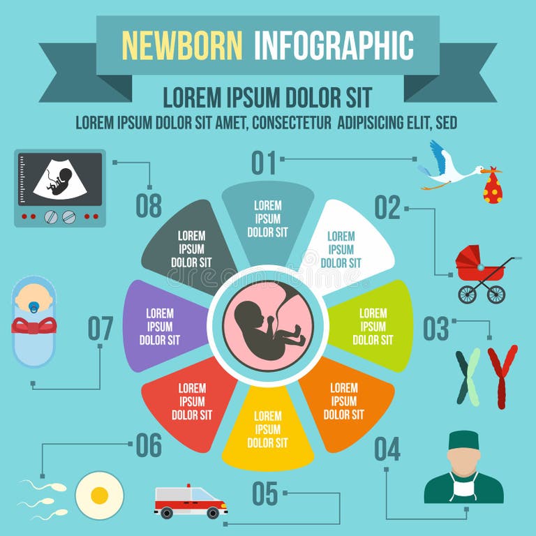 Newborn Infographic Elements, Flat Style Stock Vector - Illustration of ...