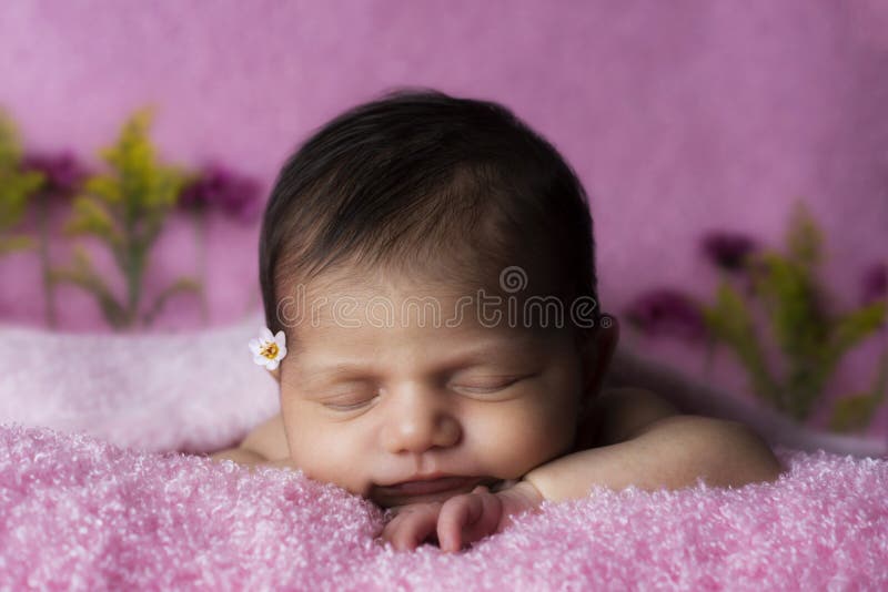 Newborn on pink stock image. Image of laying, expression - 71568301