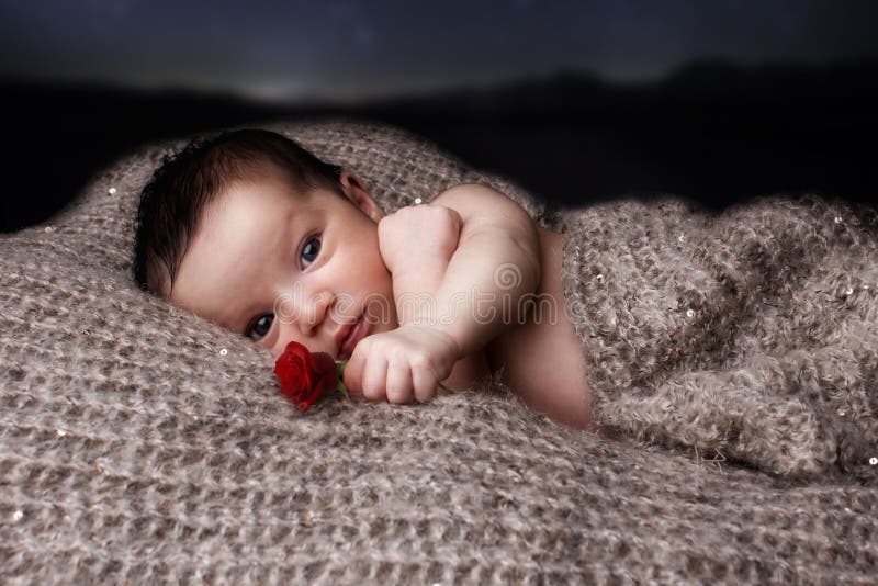 Newborn Rose stock photo. Image of face, newborn, mountains - 71529096