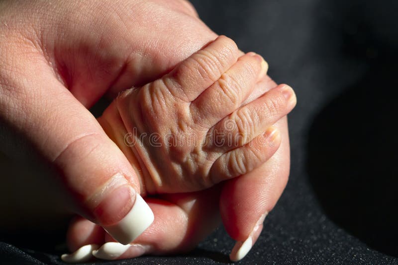 Newborn s Hand stock photo. Image of life, finger, newborn - 14873670