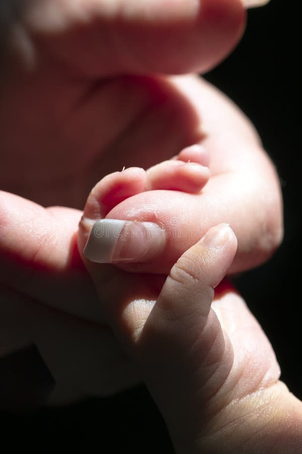 Newborn s Hand stock photo. Image of infant, birth, babe - 14873704