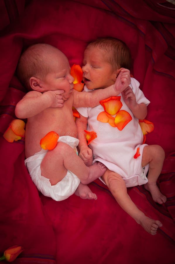 Newborn twins stock photo. Image of pure, healthy, child - 38835806