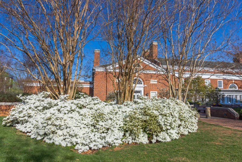 Newcomb Hall at the University of Virginia Editorial Photography ...