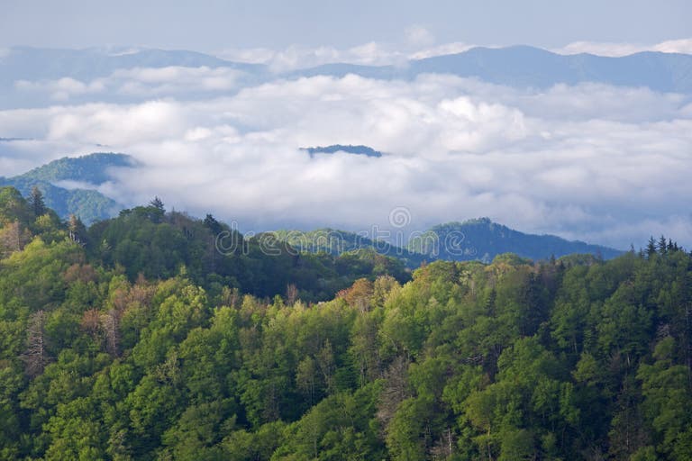 432 Newfound Gap Great Smoky Mountains National Park Stock Photos ...