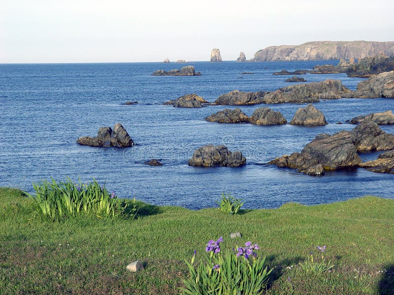 Newfoundland coast stock photo. Image of horizon, rockcoast - 254336362