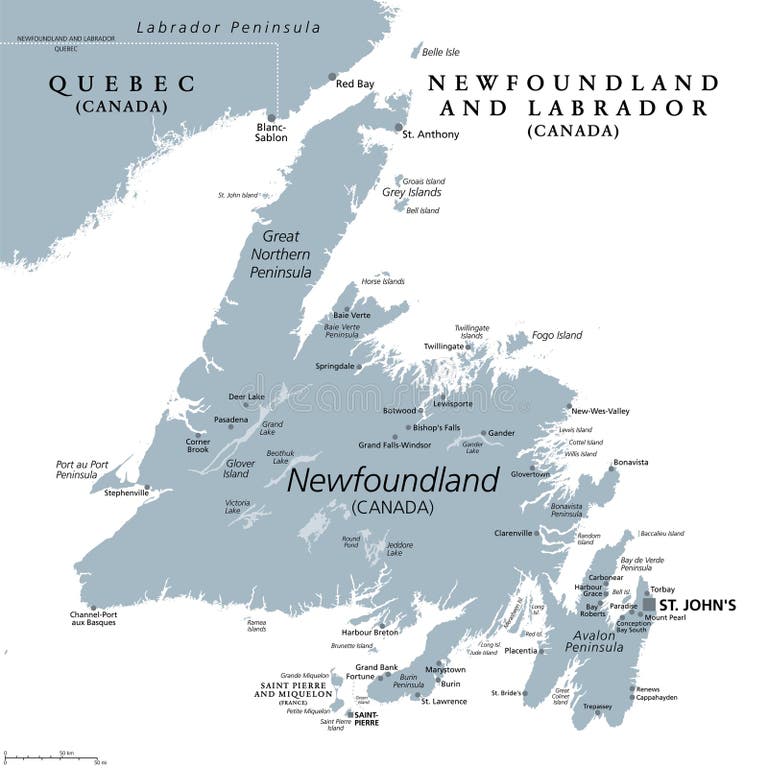 Island of Newfoundland, Gray Political Map, Newfoundland and Labrador ...