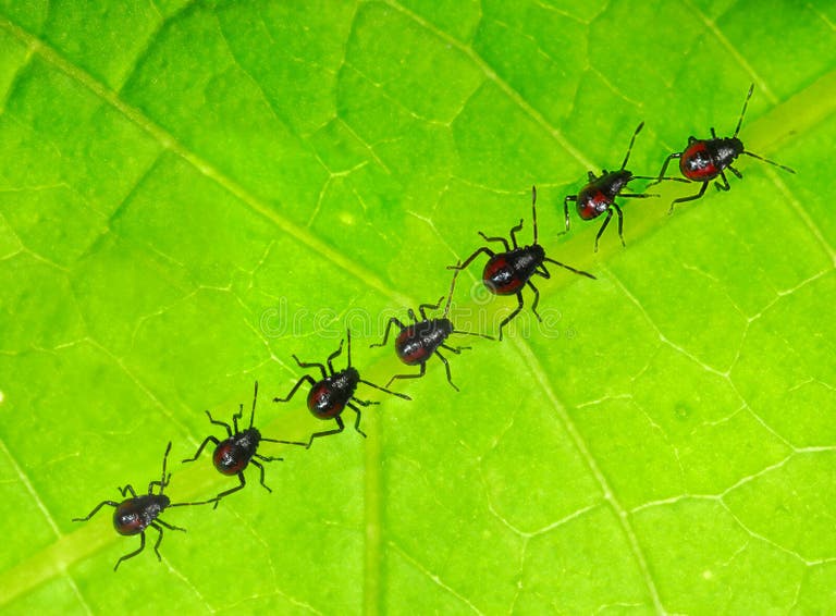 75,420 Newly Ideiti Stock Photos - Free & Royalty-Free Stock Photos ...