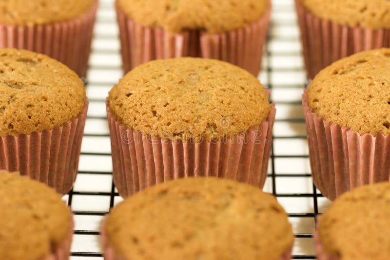 Newly Made Cinnamon Cupcakes in a Cooling Rack Stock Photo - Image of ...