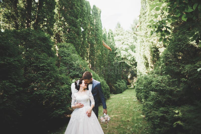 Newly Married Couple Running and Jumping in Park while Holding Hands ...