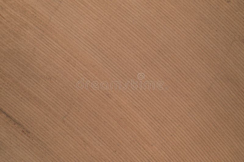 Newly Planted Cane Field Seen from Above - Drone View Stock Image ...