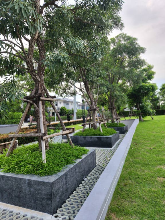 Newly Planted Trees with Support Structures in Modern Rectangular ...