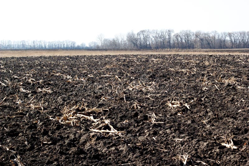 Newly Sowed Fields. Seasonal. Stock Image - Image of harrow, horizon ...