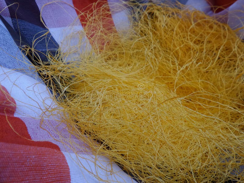 Newly Silk Thread from Cocoon Stock Image - Image of natural, silk ...